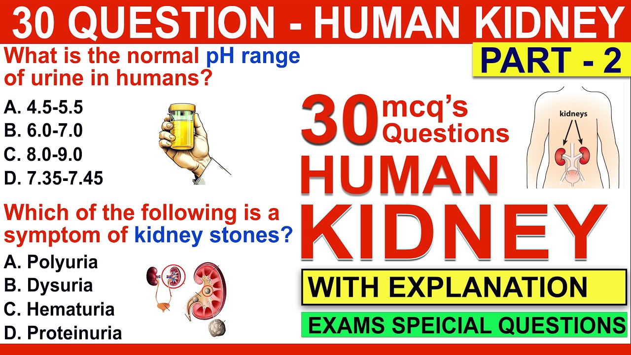 mcqs on human kidney | part 2 | human kidney mcqs questions and answers | mcqs on excretory ...
