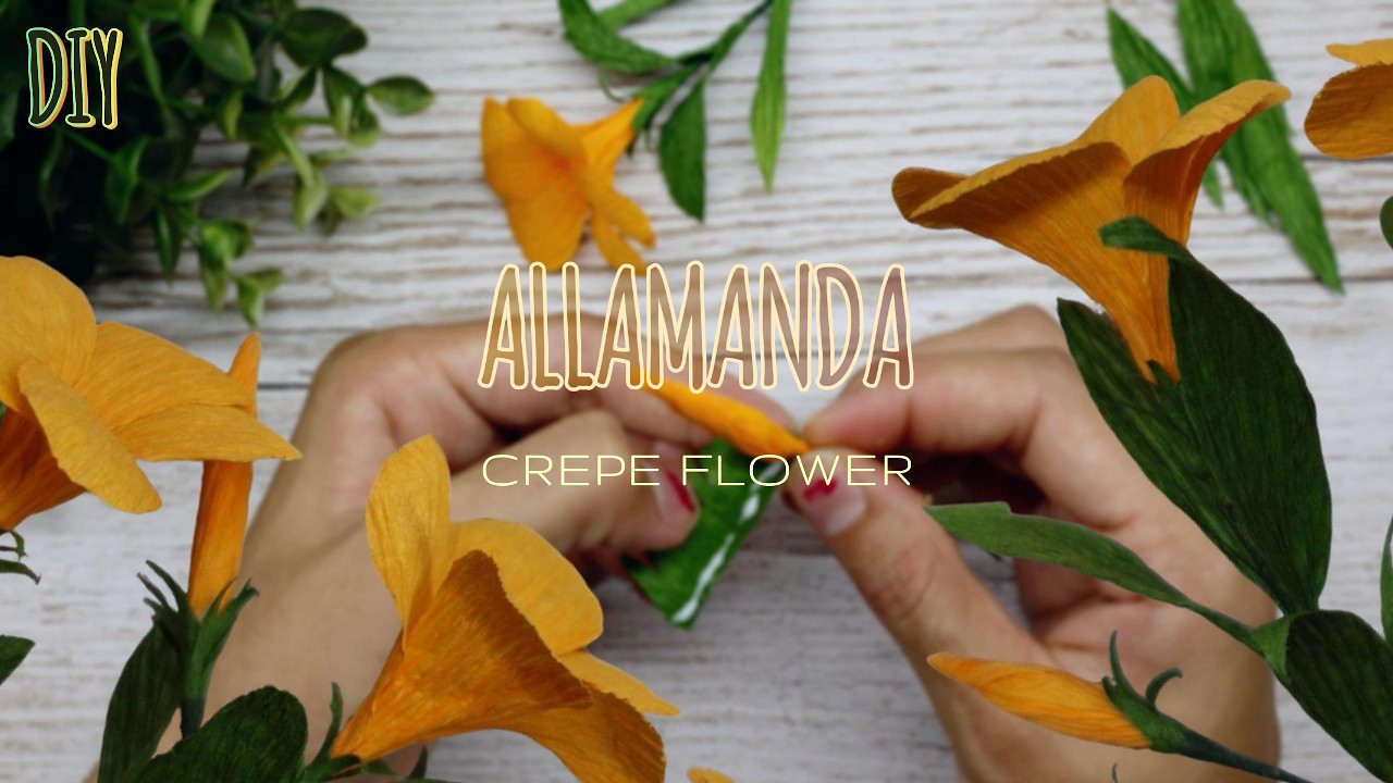 DIY || Allamanda crepe paper flower making tutorial || Home decore idea ...