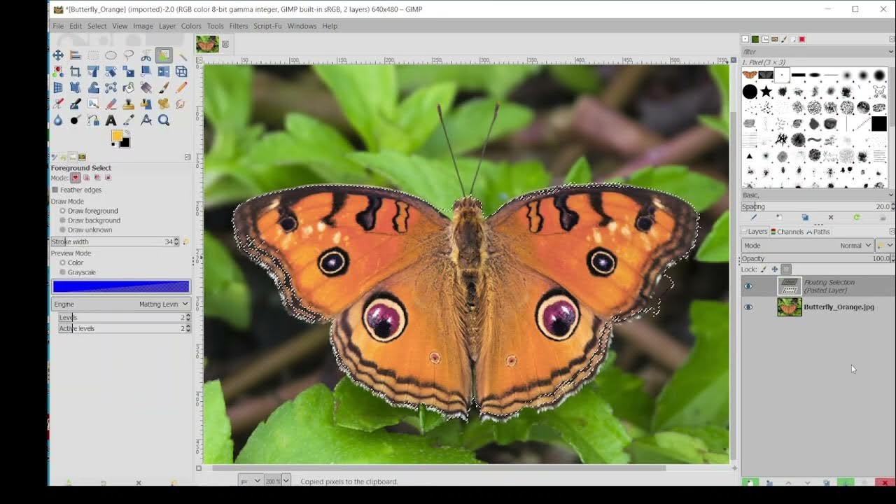 Using the Foreground Select Tool in GIMP - YouTube