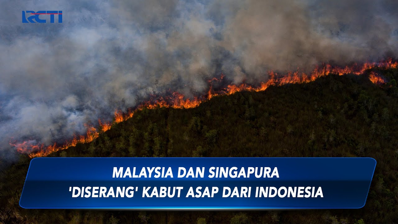 Kabut Asap Dampak Kebakaran Hutan dan Lahan Hingga ke Malaysia dan ...