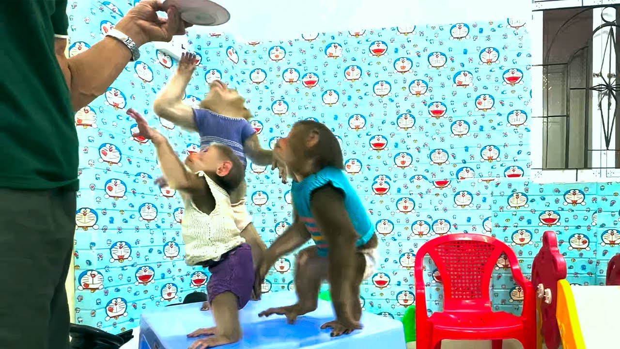 Monkey baby is very happy because grandpa brought out the food - YouTube