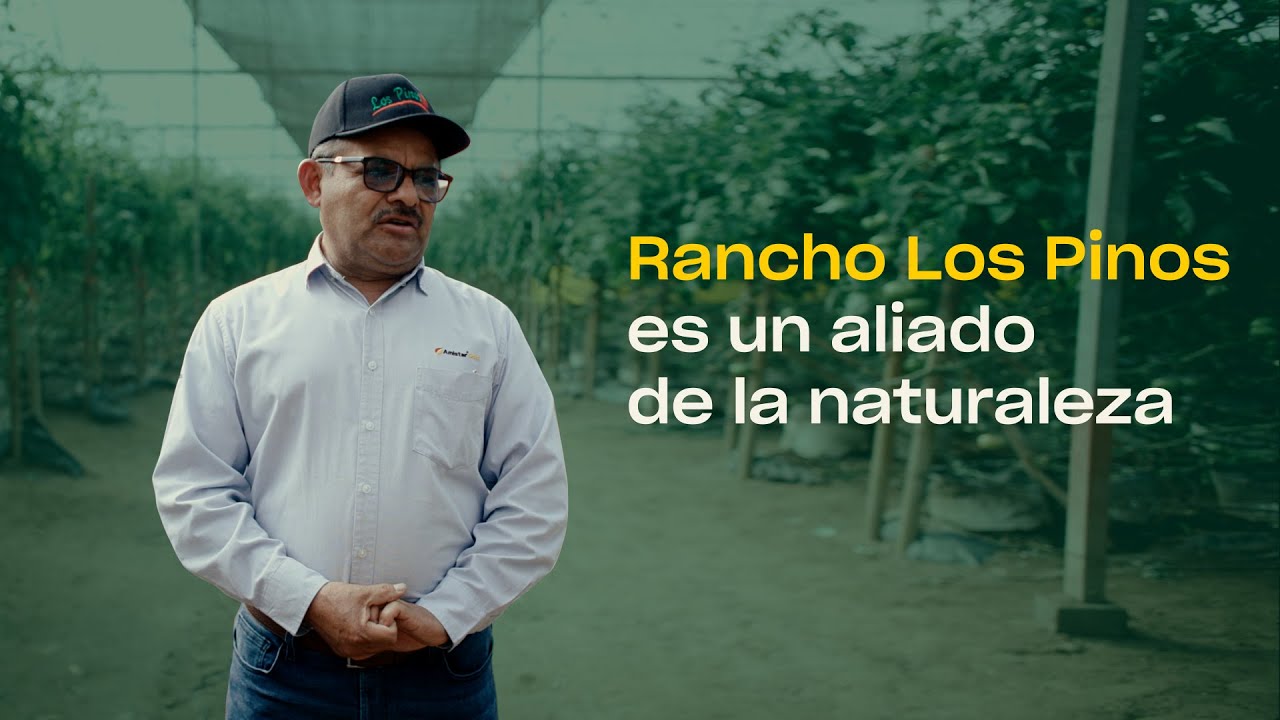 Rancho Los Pinos es un aliado de la naturaleza - YouTube