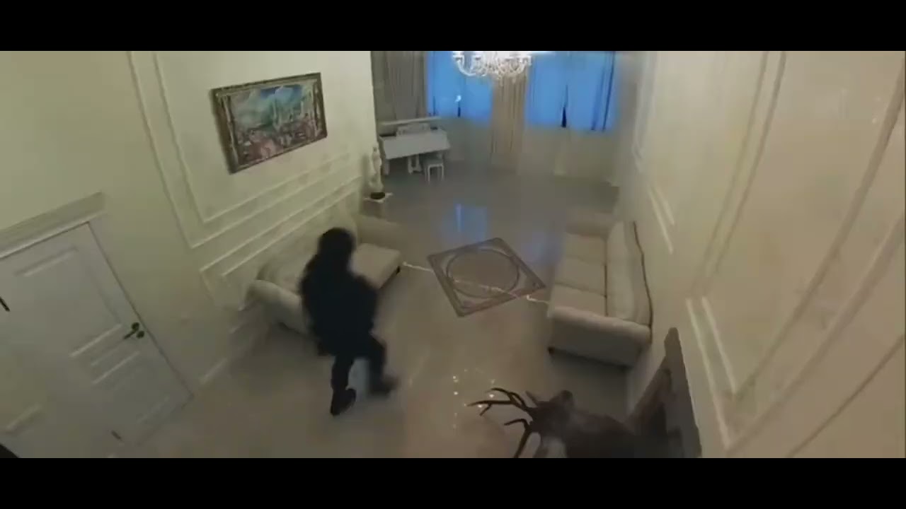 14 августа 2024 г Youtube