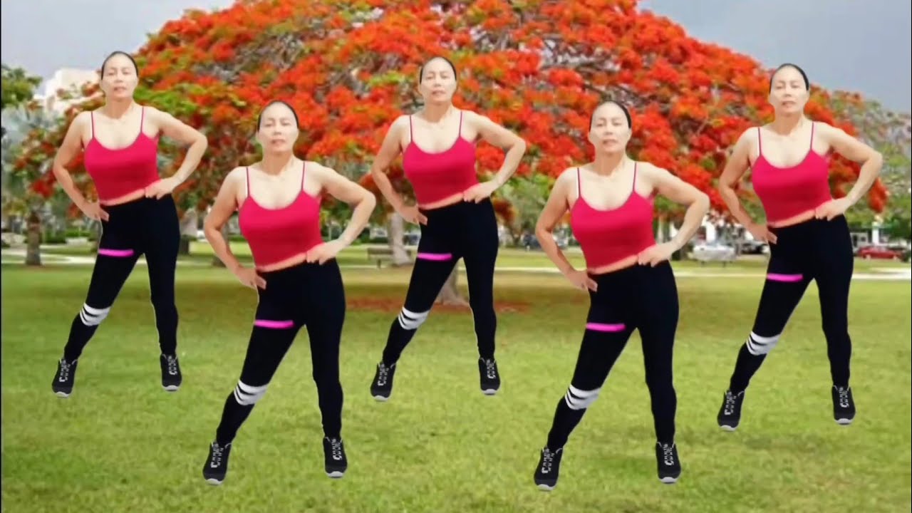 aerobics dance exercise, for weight loss, full body workout, fat loss ...