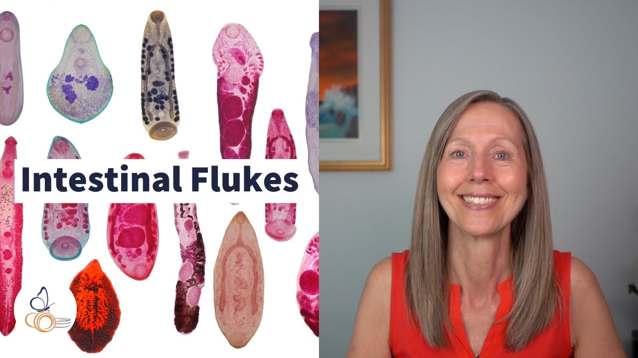 Intestinal Flukes | Pam Bartha - YouTube