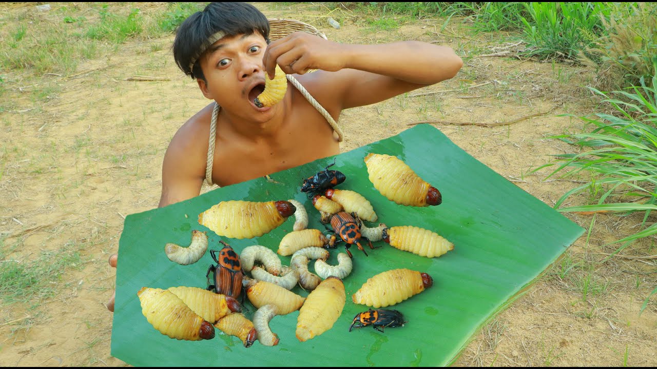 Cut A Coconut Tree To Remove Coconut The Worms For Cook Cook Coconut cut-a-coconut-tree-to-remove-coconut-the-worms-for-cook-cook-coconut
