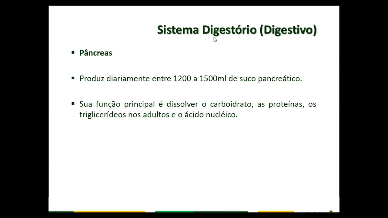 3h De Anatomia E Fisiologia Humana II RAD09N 12 11 YouTube 3h De Anatomia E Fisiologia Humana II RAD09N 12 11 YouTube