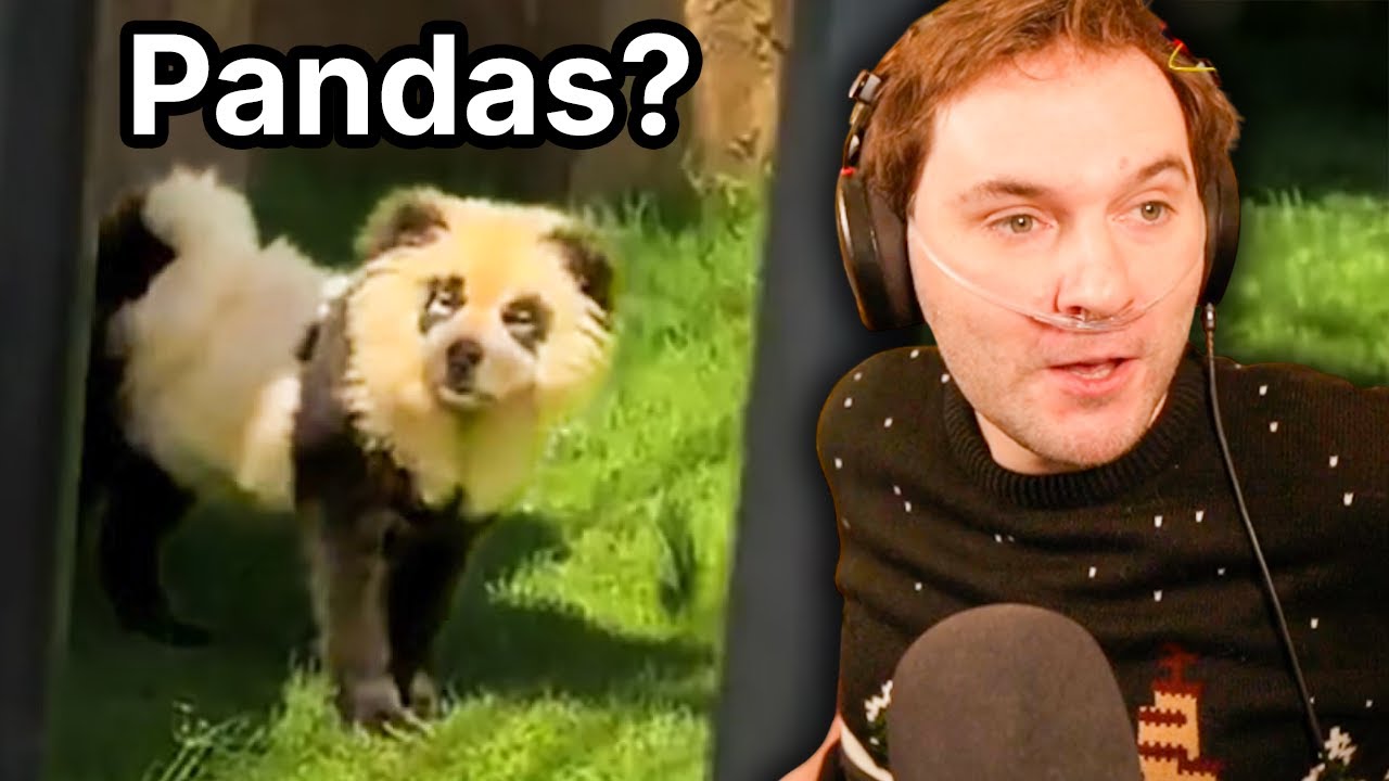 Scar vs. Pandas? | Hermitcraft Season 10 Stream Clip - YouTube