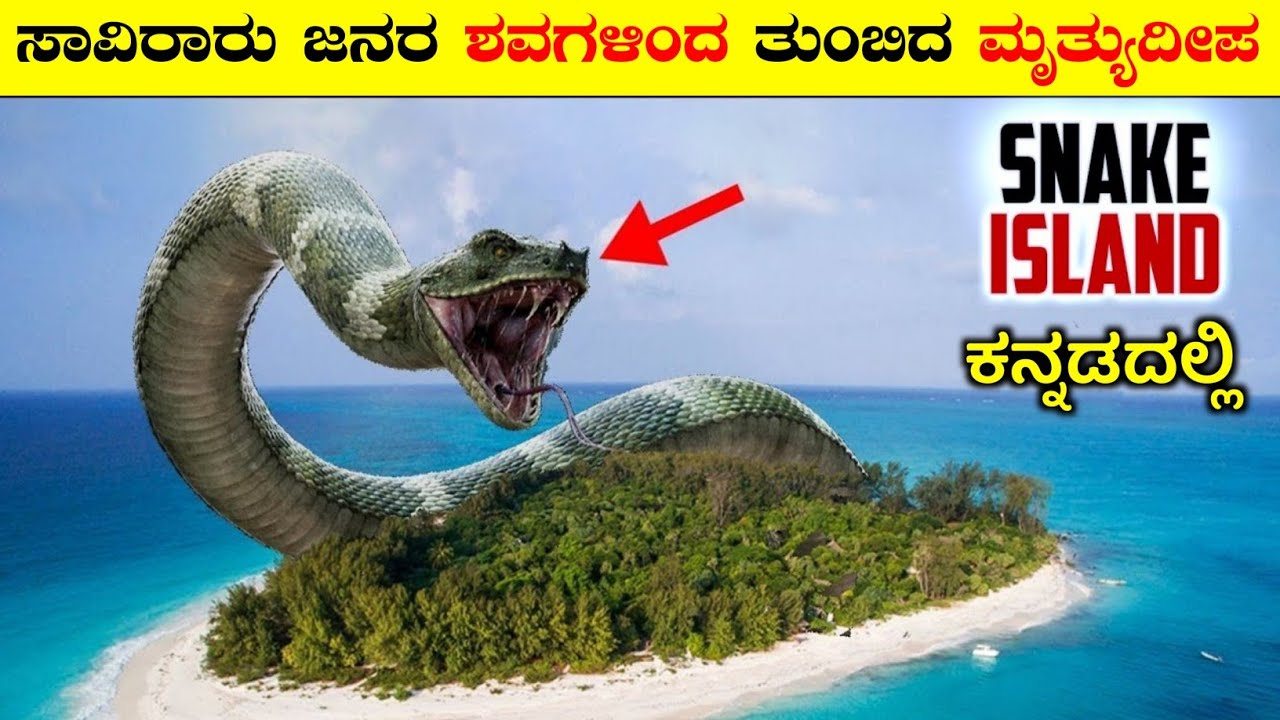 ಶವಗಳಿಂದ ತುಂಬಿಹೋದ ಮೃತ್ಯುದೀಪ | snake island | snake island Brazil | snake ...