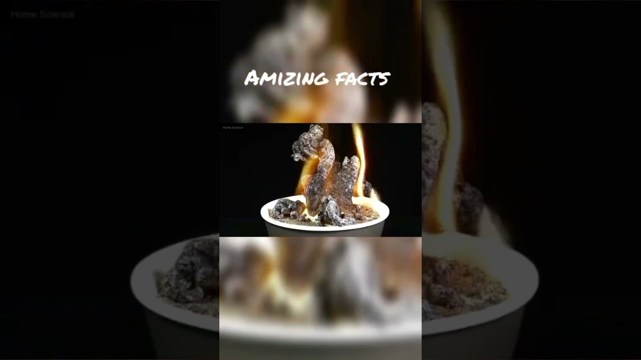 Amizing Facts Number 12 Home Science Youtube Shorts YouTube Amizing Facts Number 12 Home Science Youtube Shorts YouTube