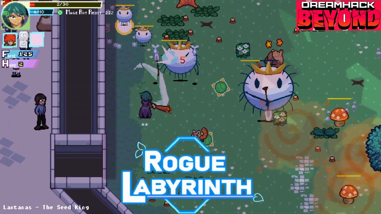 Rogue Labyrinth Demo | First Look Gameplay - YouTube