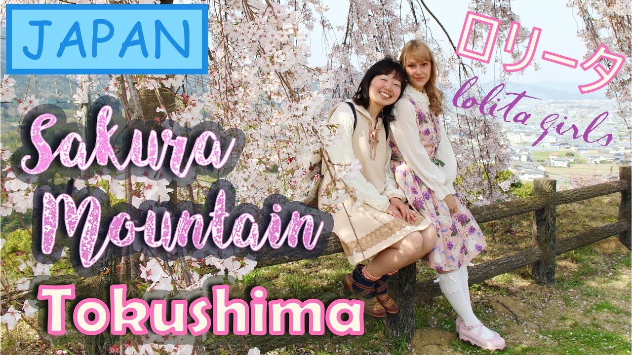 Japan Vlog #16: KONOYAMA SAKURA MOUNTAIN PARK | Tokushima | Honey in ...
