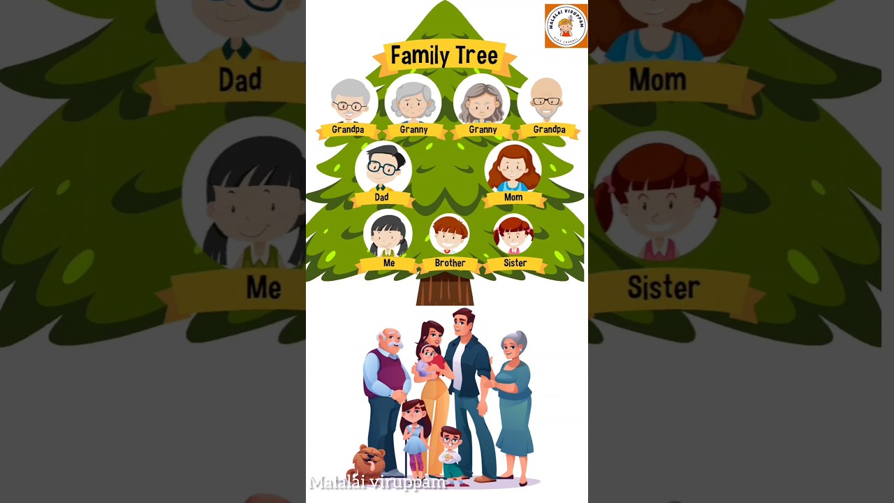 family tree|kids learning family members names - YouTube