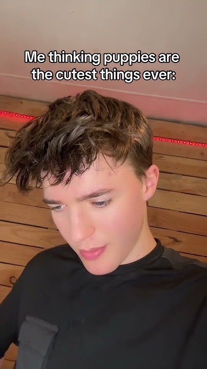 The Cutest Thing Ever Youtube