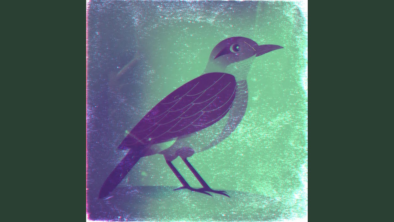 moonlight snack - YouTube