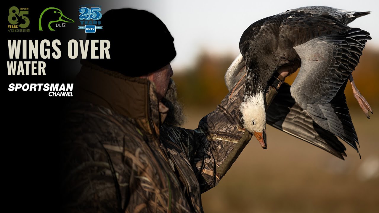 Wings Over Water: Showcasing Wetland Conservation & Waterfowl Hunting ...