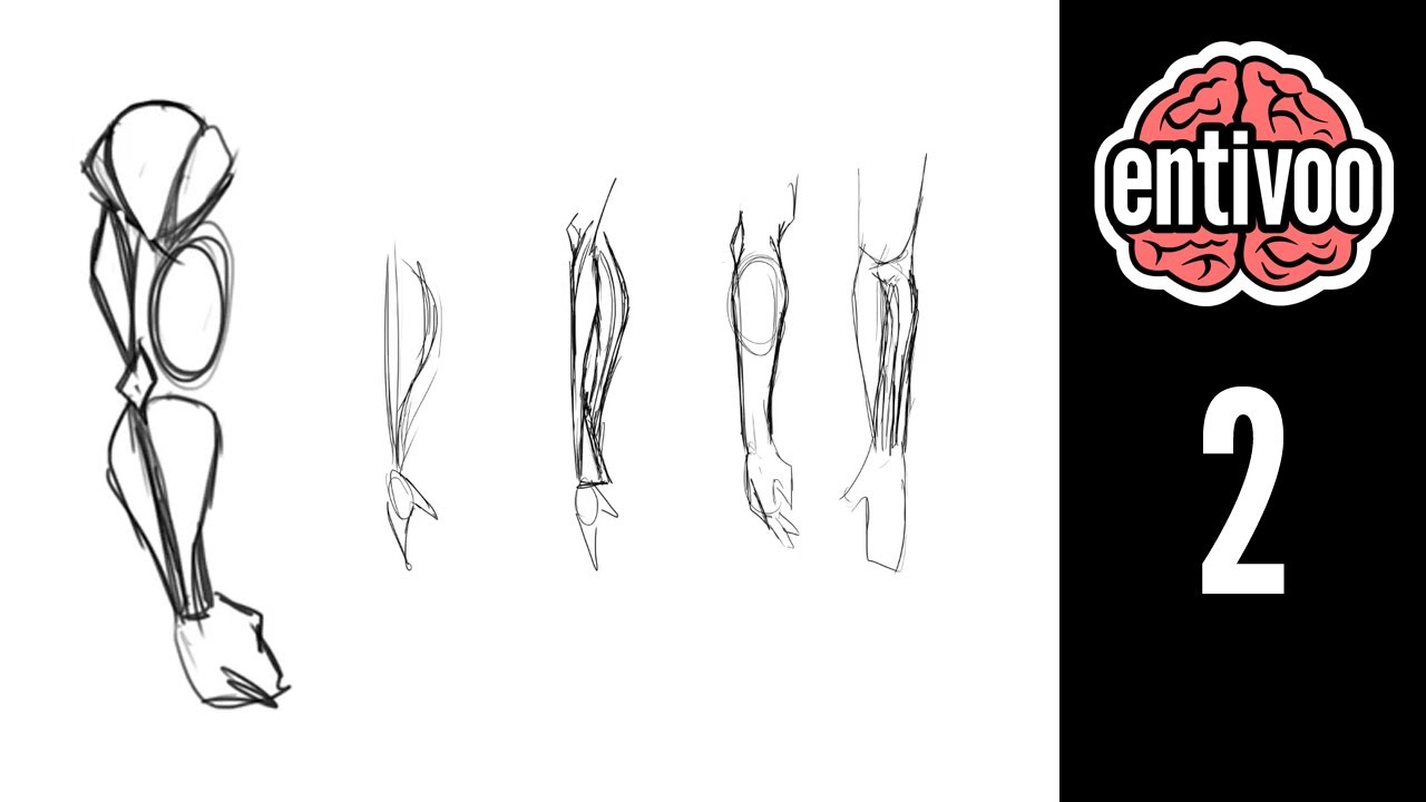 Aprende a dibujar los brazos del cuerpo humano - YouTube