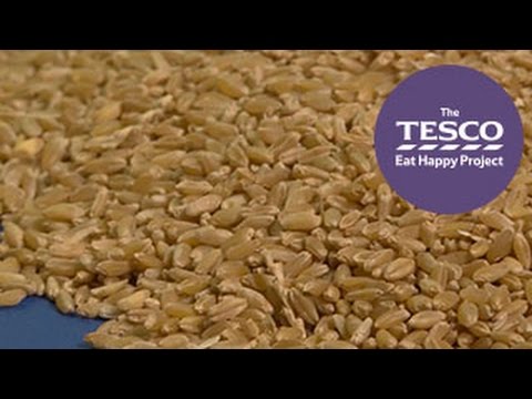 Perfect Pasta: what is pasta made from?