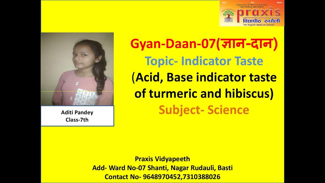 Acid, Base indicator taste of turmeric and hibiscus # Praxis Vidyapeeth ...