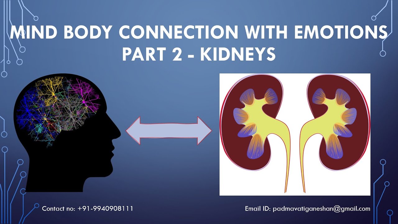 Mind Body Connection with emotions|Know how kidneys get affected| Cure ...