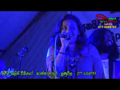 SUNO CHAMPA HINDI SONG NIRUDHI WITH ALFA