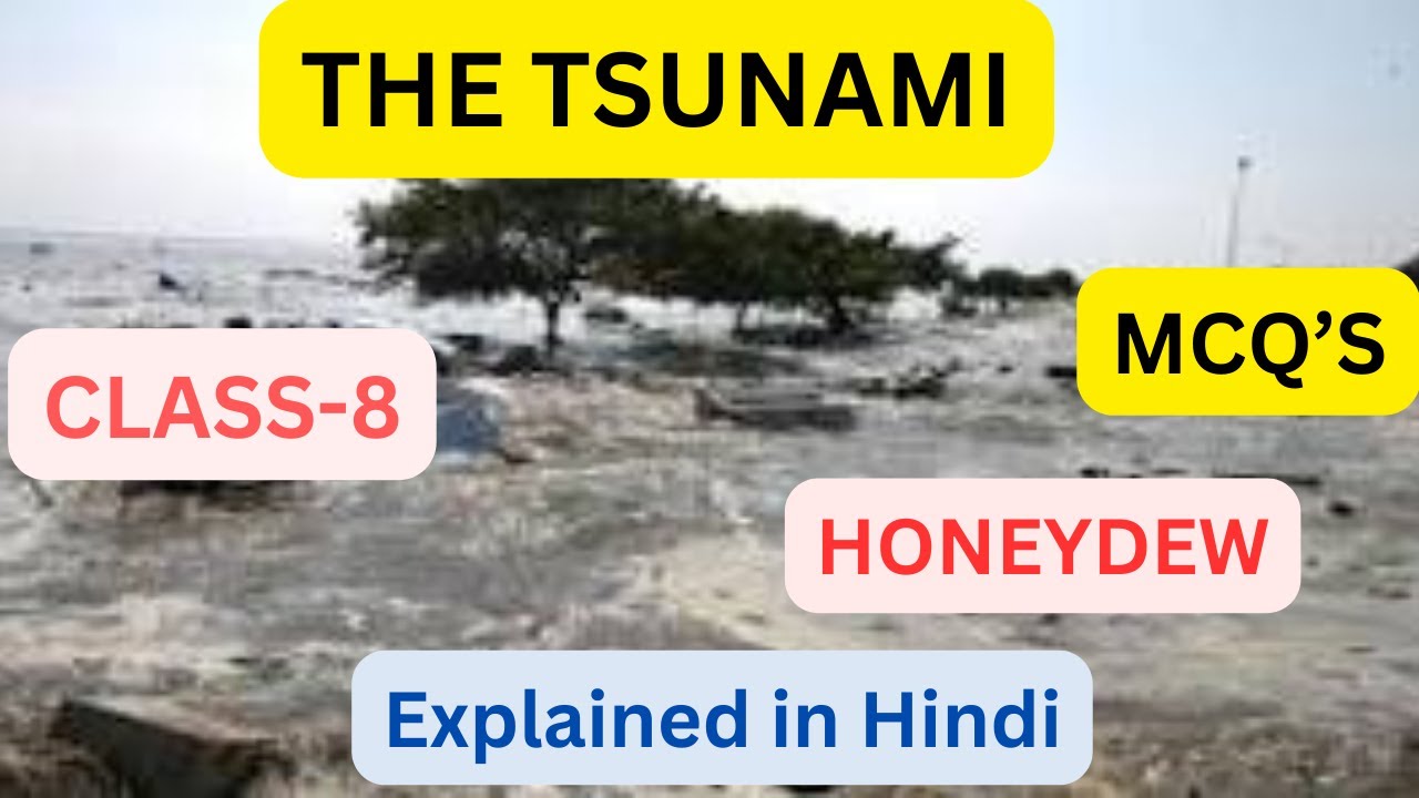 MCQ'S OF THE TSUNAMI//CLASS-8//HONEYDEW - YouTube