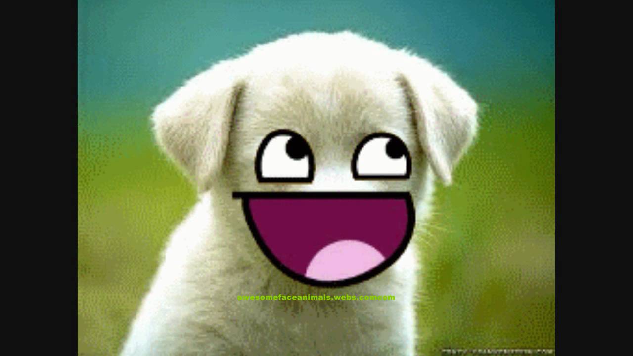 Awesome Face Collection - YouTube