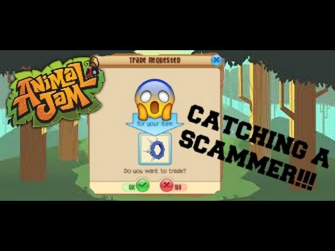 [ Animal Jam] Catching A Scammer - YouTube