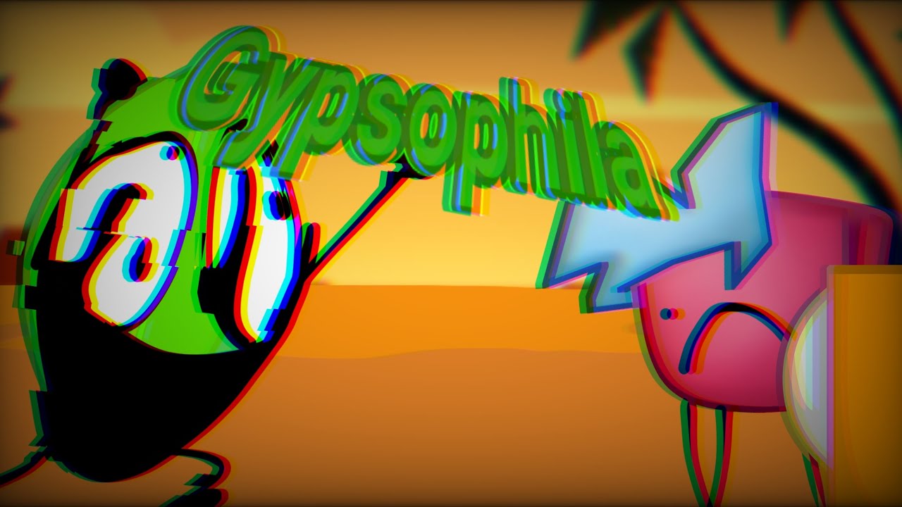 bfsd gypsophila |BFSD but different people Episode 1 - YouTube