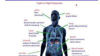 AOS 1 Unit 3 VCE Psychology 2017-2021 - YouTube