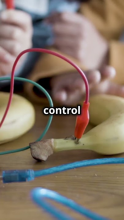 Unlock Raspberry Pi's Power with LabVIEW - YouTube