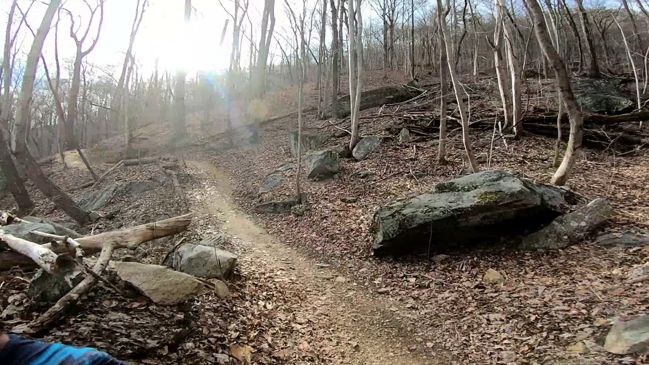 Buffalo Trail - YouTube