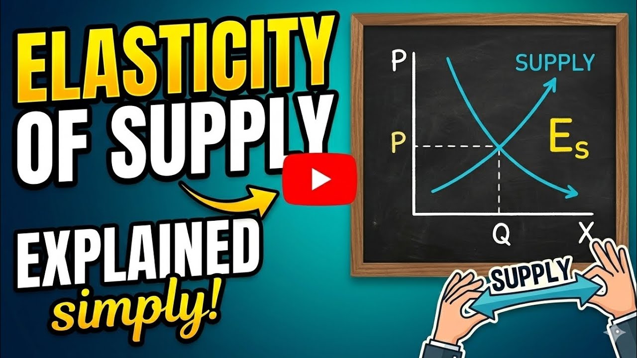Elasticity of Supply | Business Economics| Demand & Supply| Elastic ...