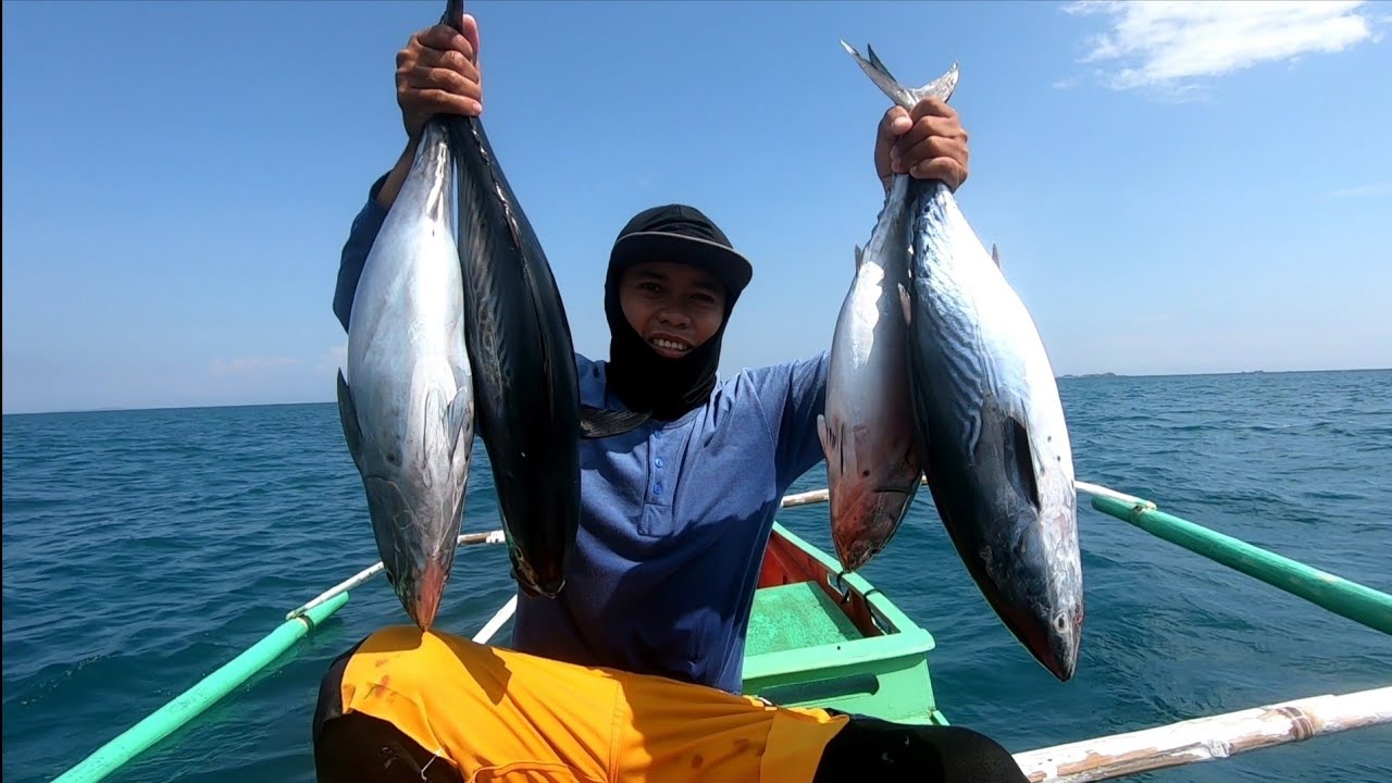 Malalaking Tulingan Nahuli sa Maaksyong Pangingisda | Buhay Dagat - YouTube