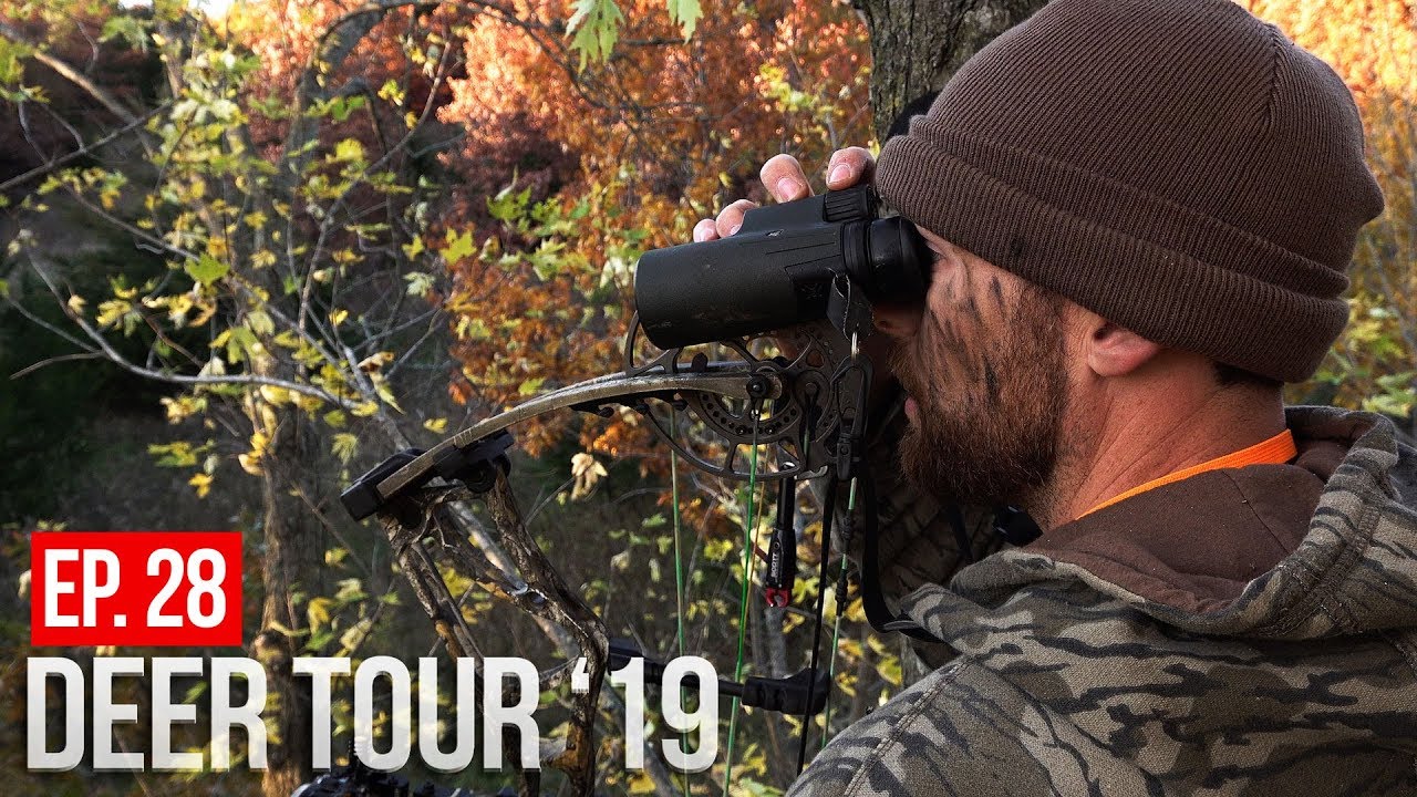 BUCKS ON A SCRAPE LINE! - Iowa Public Land - YouTube