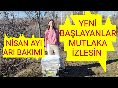 NİSAN AYI ARI BAKIMI 🐝UYGULAMALI ANLATIM 🐝BU VİDEO KAÇMAZ 🐝#arı#arıcılık#beekeeping #bee#yalvaç