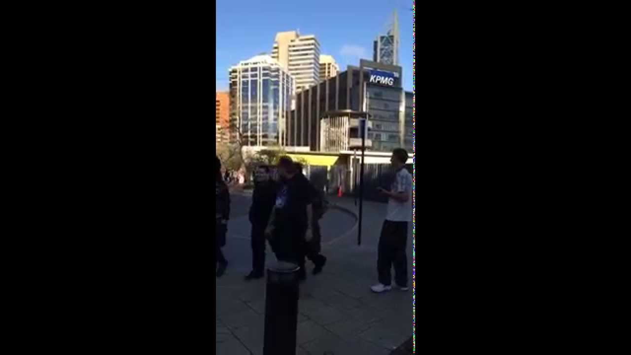 FURWAG - The Furry Walk- Perth - YouTube