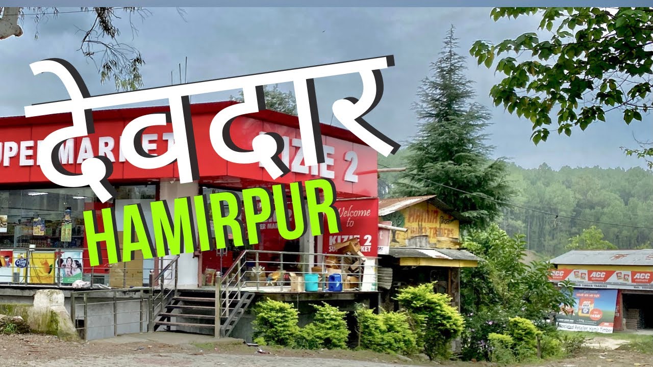 Devdar Tree in Hamirpur | Himachal Pradesh | Unbelievable - YouTube