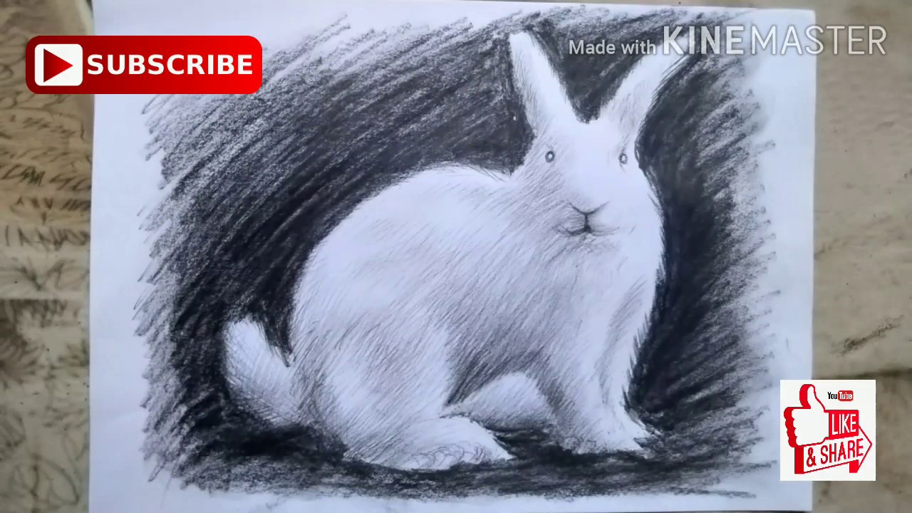 How to draw Rabbit - YouTube