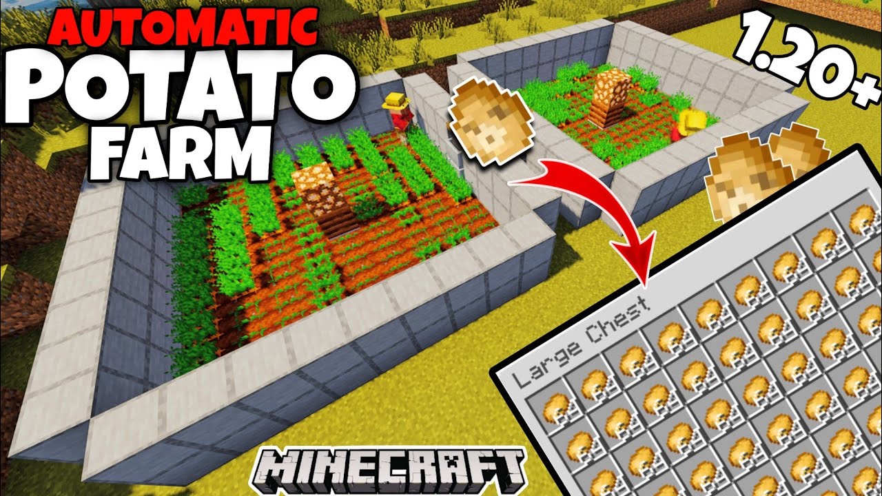 How To Make Automatic Potato Farm In Minecraft 1.20 Tutorial - Food Farm Mcpe - YouTube