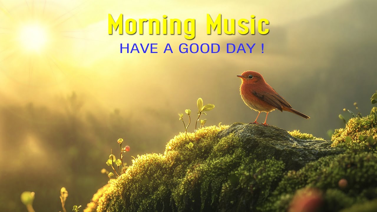 BEAUTIFUL GOOD MORNING MUSIC - HAPPY Positive Euphoric Energy - Zen ...