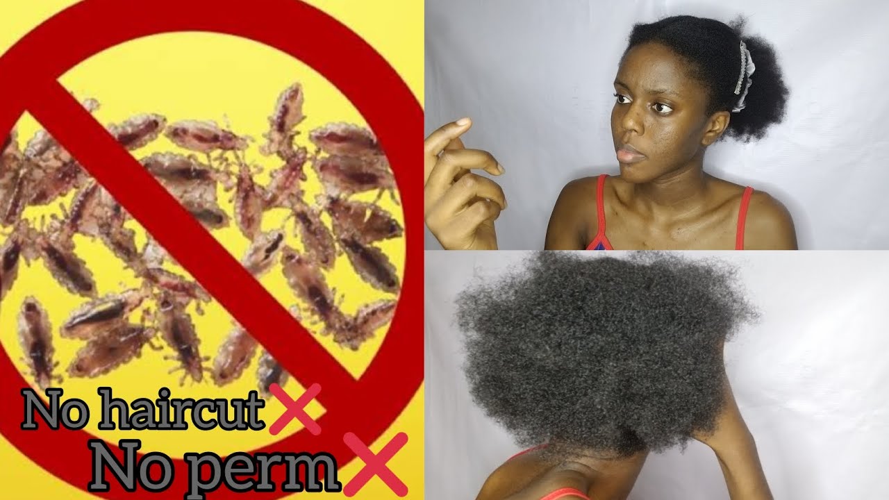 LICE INVADED MY HAIR!!😰 ELIMINATE THEM VERY FAST BY FOLLOWING THIS ...