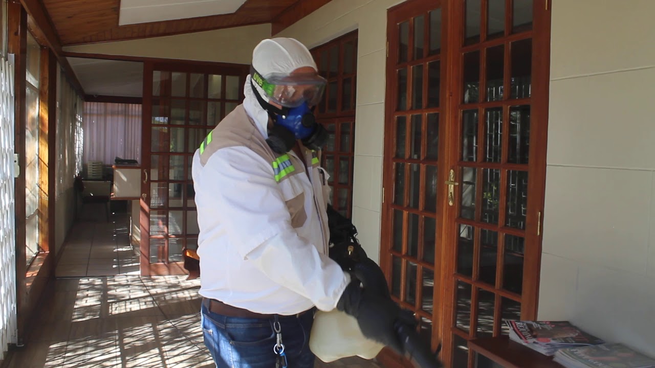 Derick Meiring, from Roach Hunters Pest Control - YouTube