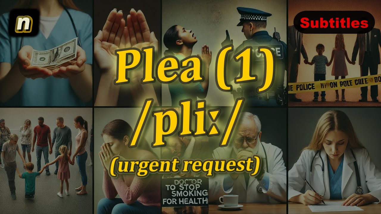 [n] Plea meaning (urgent request) with 5 examples - YouTube