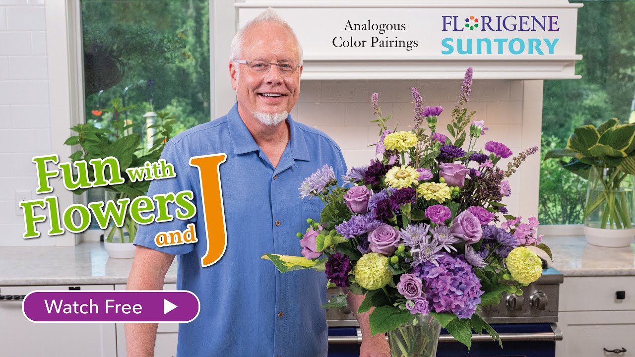 Color pairings with florigene Suntory Flowers - Analogous Colors! - YouTube