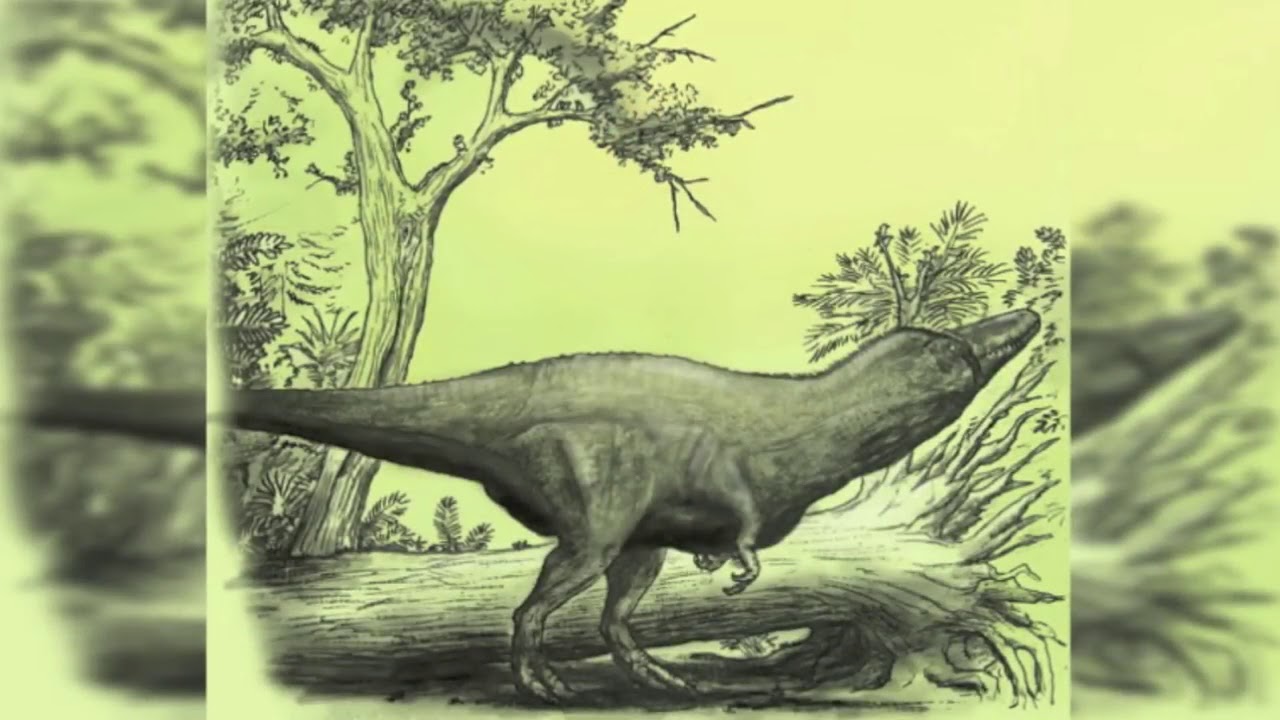 The Burrunjor Modern Day Dinosaur Sightings In Australia - YouTube