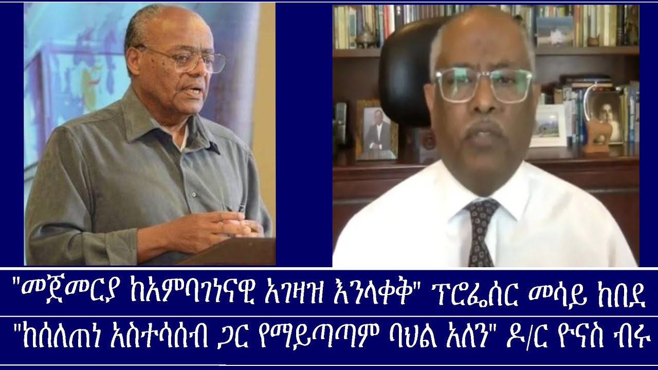 Mengizem media Excerpt from Dr. Yonas Biru and Prof Mesay Kebede ...