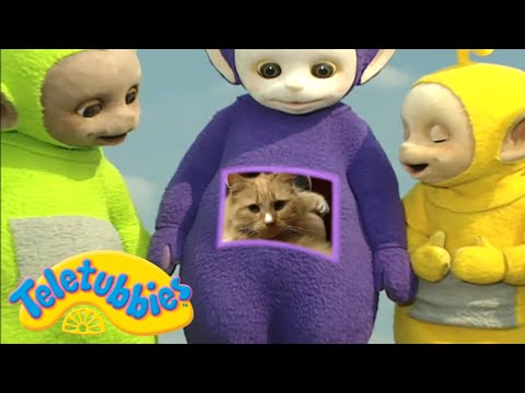 Teletubbies | Cat's Night Out | Official Classic Full Episode