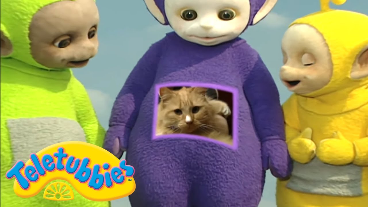 Teletubbies | Cat's Night Out | Official Classic Full Episode - YouTube