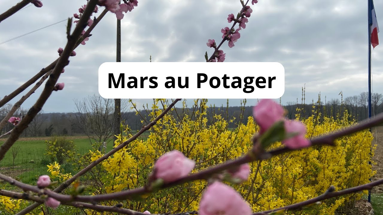 Qu'est ce qu'on a fait et va faire ! - YouTube